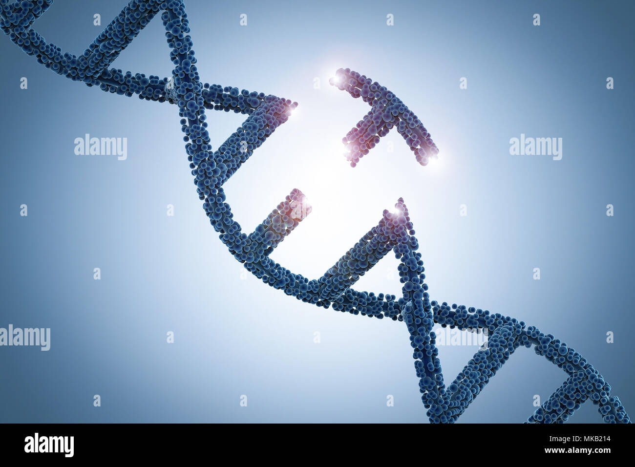 Genetic engineeering concept with 3d rendering dna helix and a part of ...