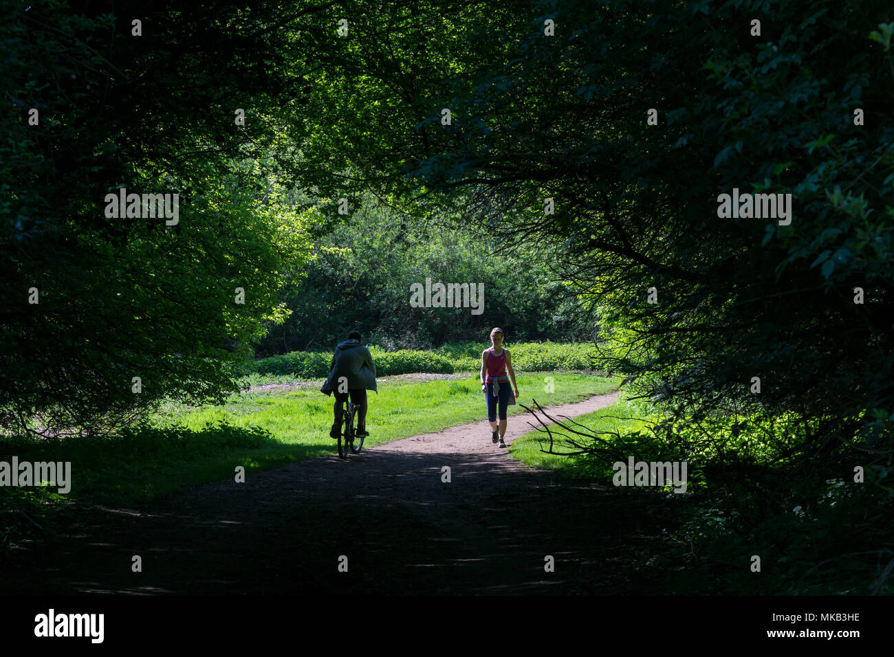 Passing under tree arch hi-res stock photography and images - Alamy