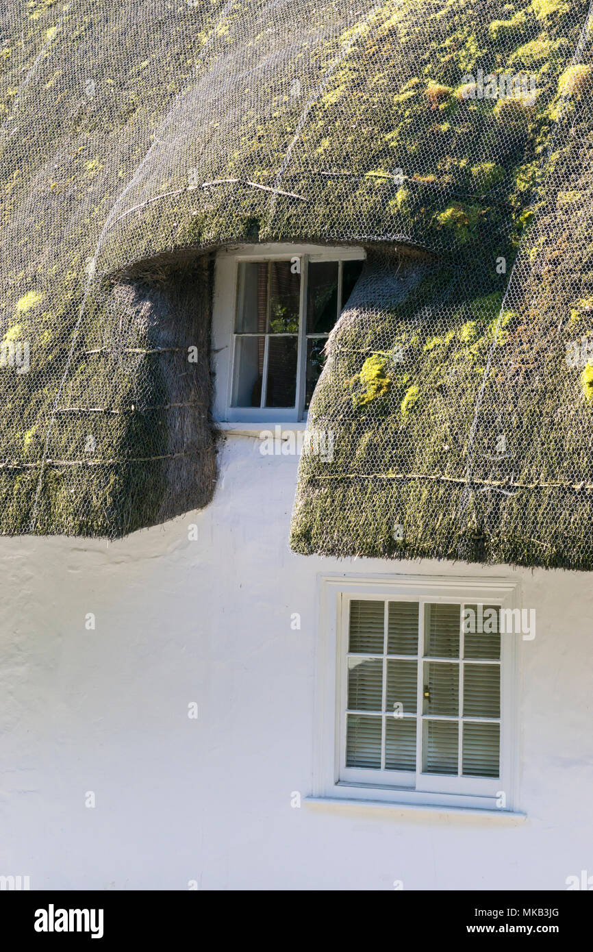 roofTwo windows in thatched cottage Stock Photo - Alamy