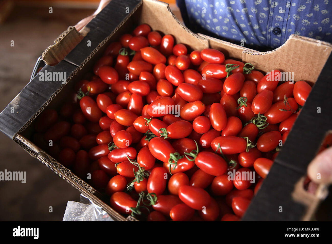 Greek red plum tomatoes in the Fruit & Vegetable Market in Athens ...