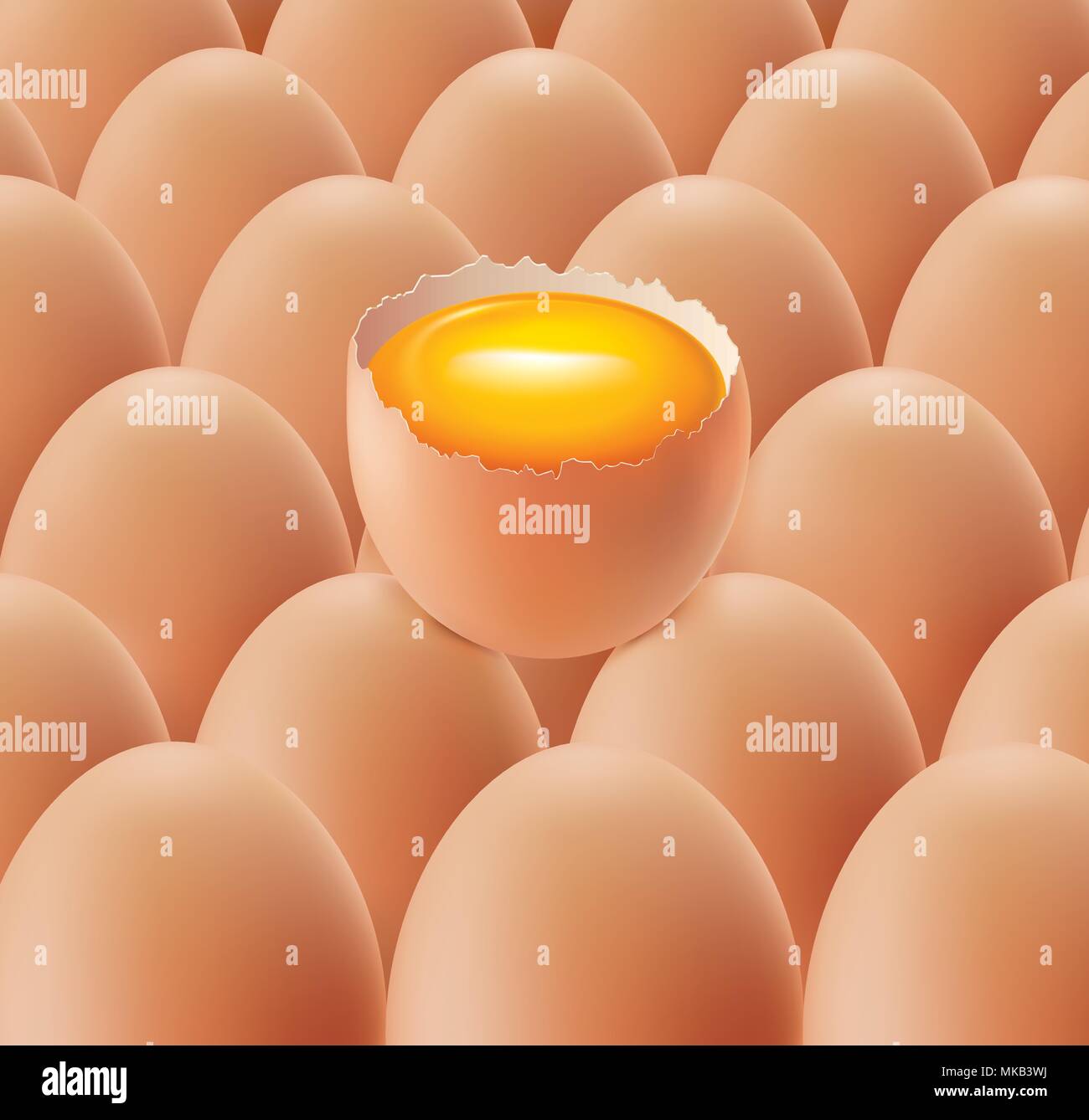 Chicken egg cross section hi-res stock photography and images - Alamy
