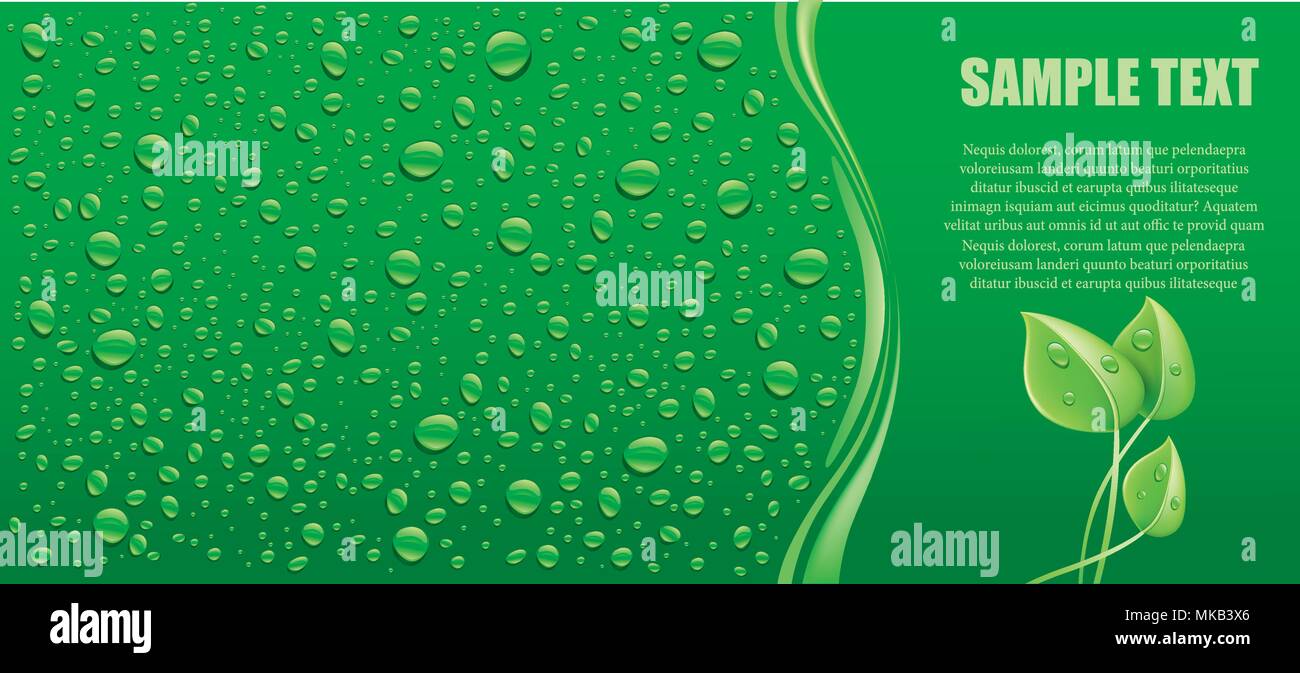 water drops on green background with place for text Stock Vector Image ...