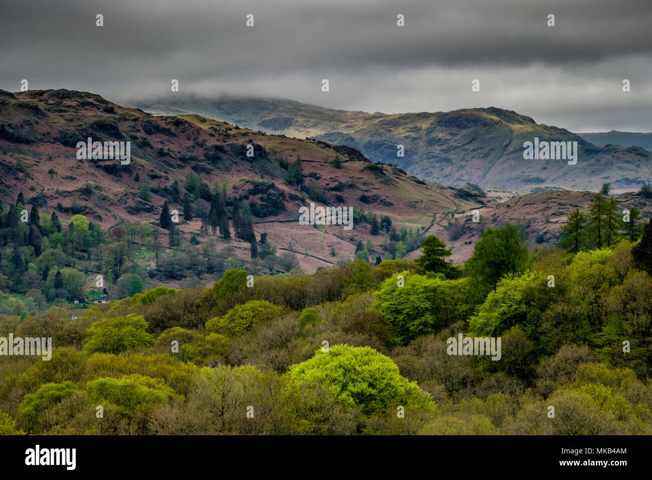 Silver grasmere seen from loughrigg hi-res stock photography and images ...