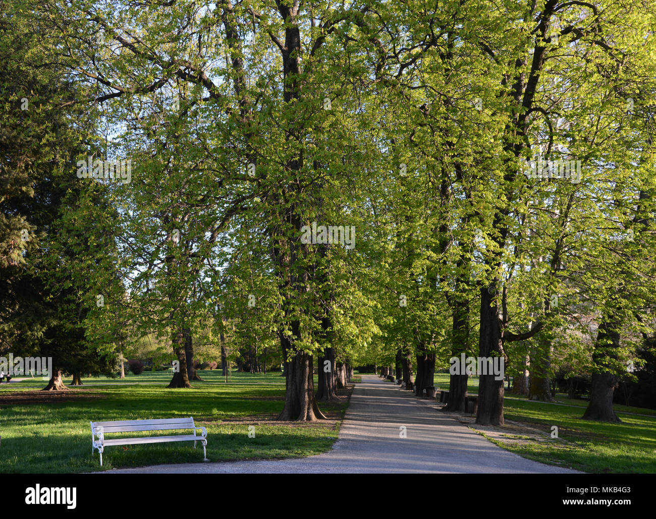 City travnik hi-res stock photography and images - Alamy