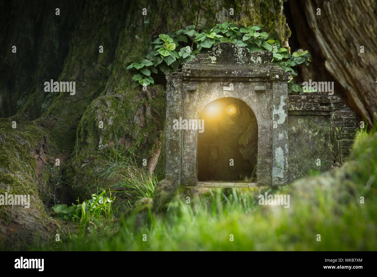 Magical Forest With Door Fairy Door On Tree Photos, Images & Pictures
