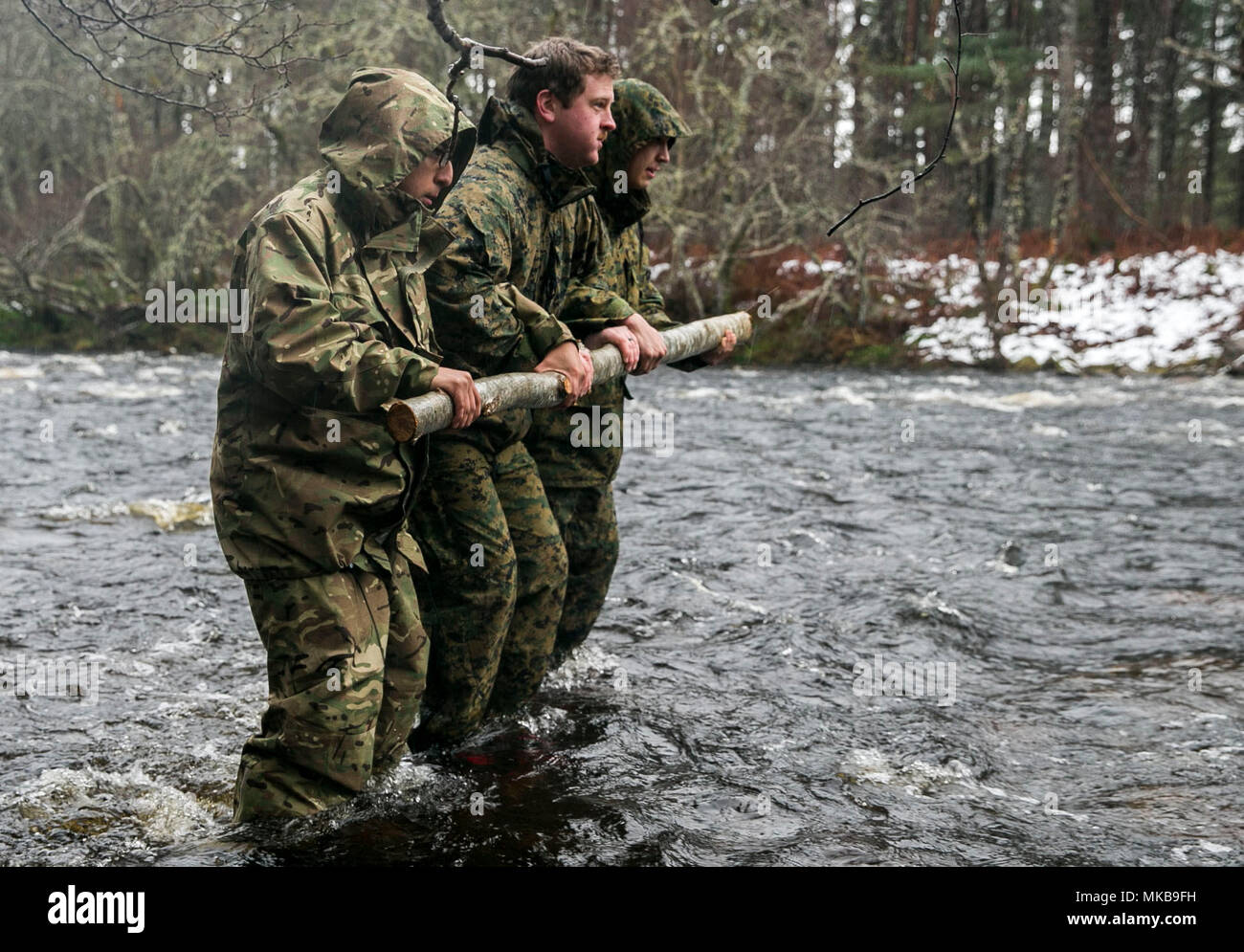 Green claymore hi-res stock photography and images - Alamy