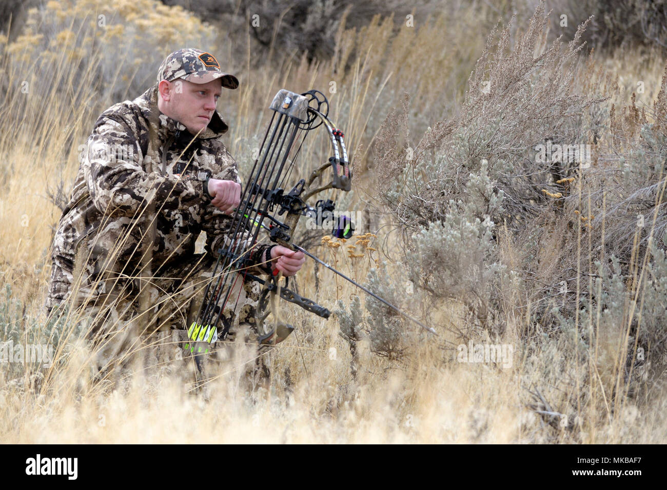 Three point buck hi-res stock photography and images - Alamy