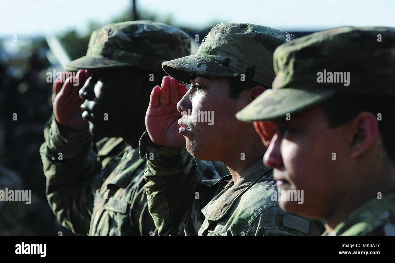Soldiers execute a salute during the 59th Ordnance Brigade Drill and ...