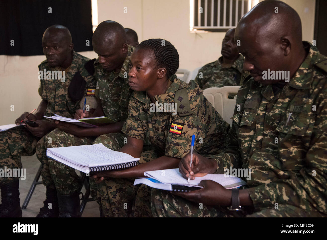 Cimic Group High Resolution Stock Photography and Images - Alamy