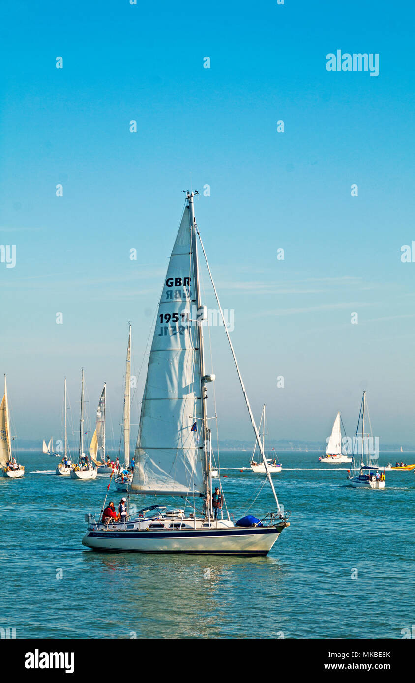 Cows, Yacht, Isle of Wight, Hampshire, Cows I Cows I of W England Stock ...