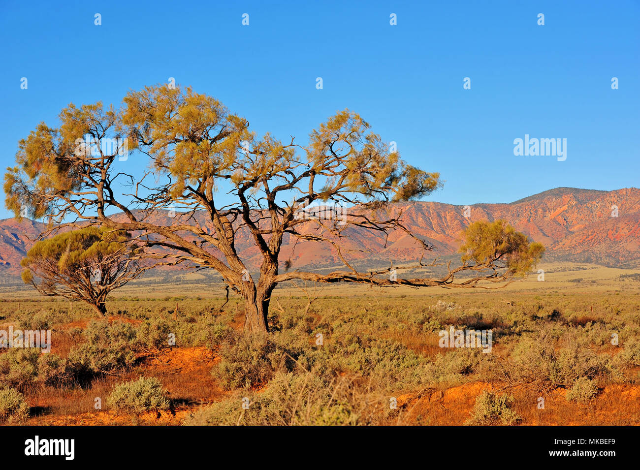 Beautiful landscape of the west of the Flinders Ranges Stock Photo - Alamy