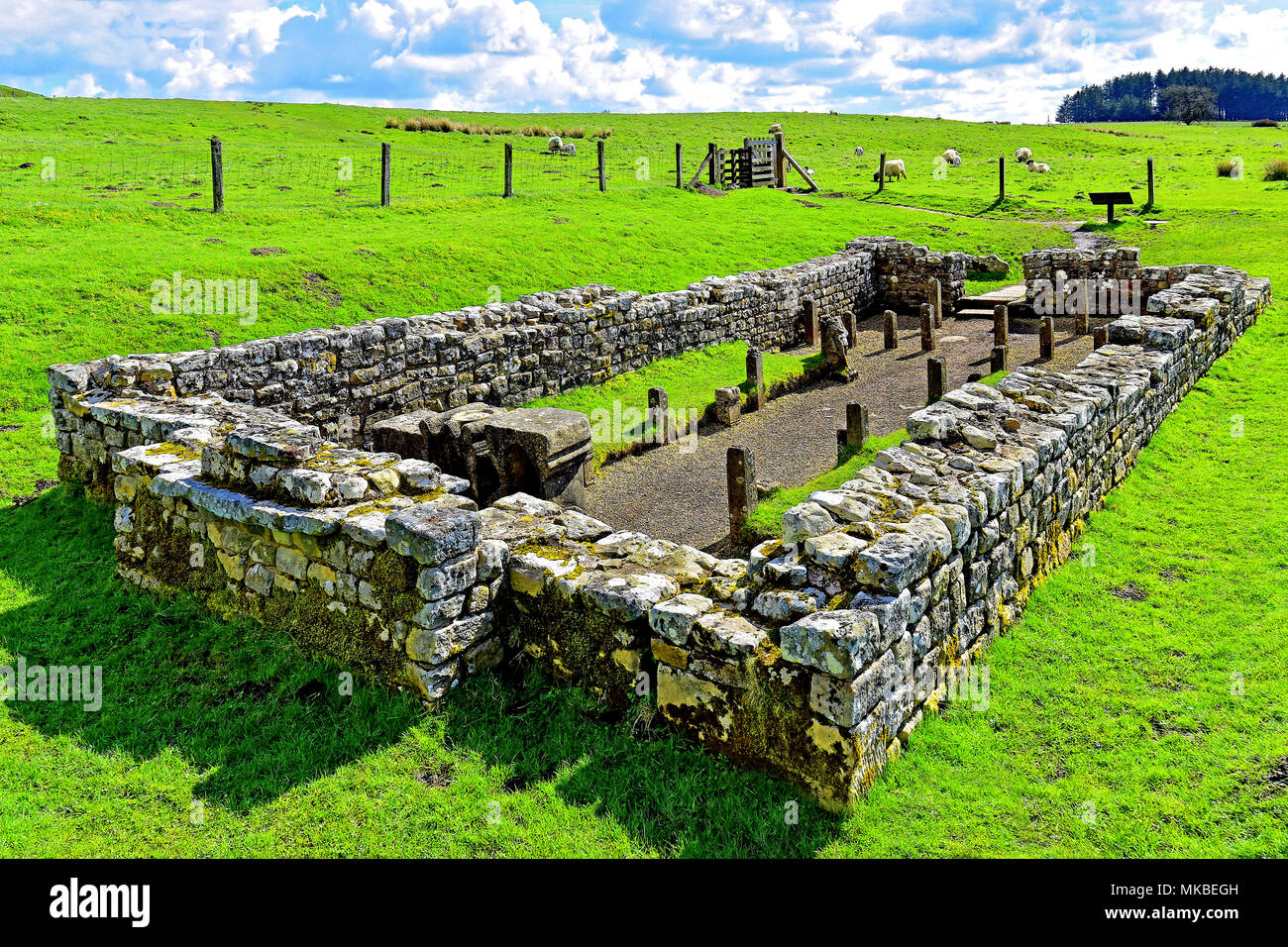 Roman Wall World Heritage Site National Park Brocolitia Mithraeum Roman ...