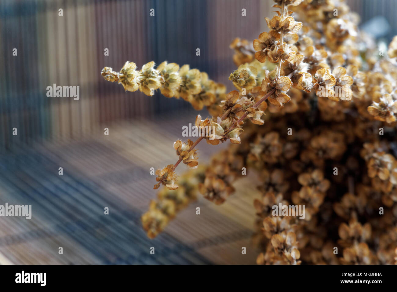 Dry basil steam abstract flower dried up background Stock Photo - Alamy