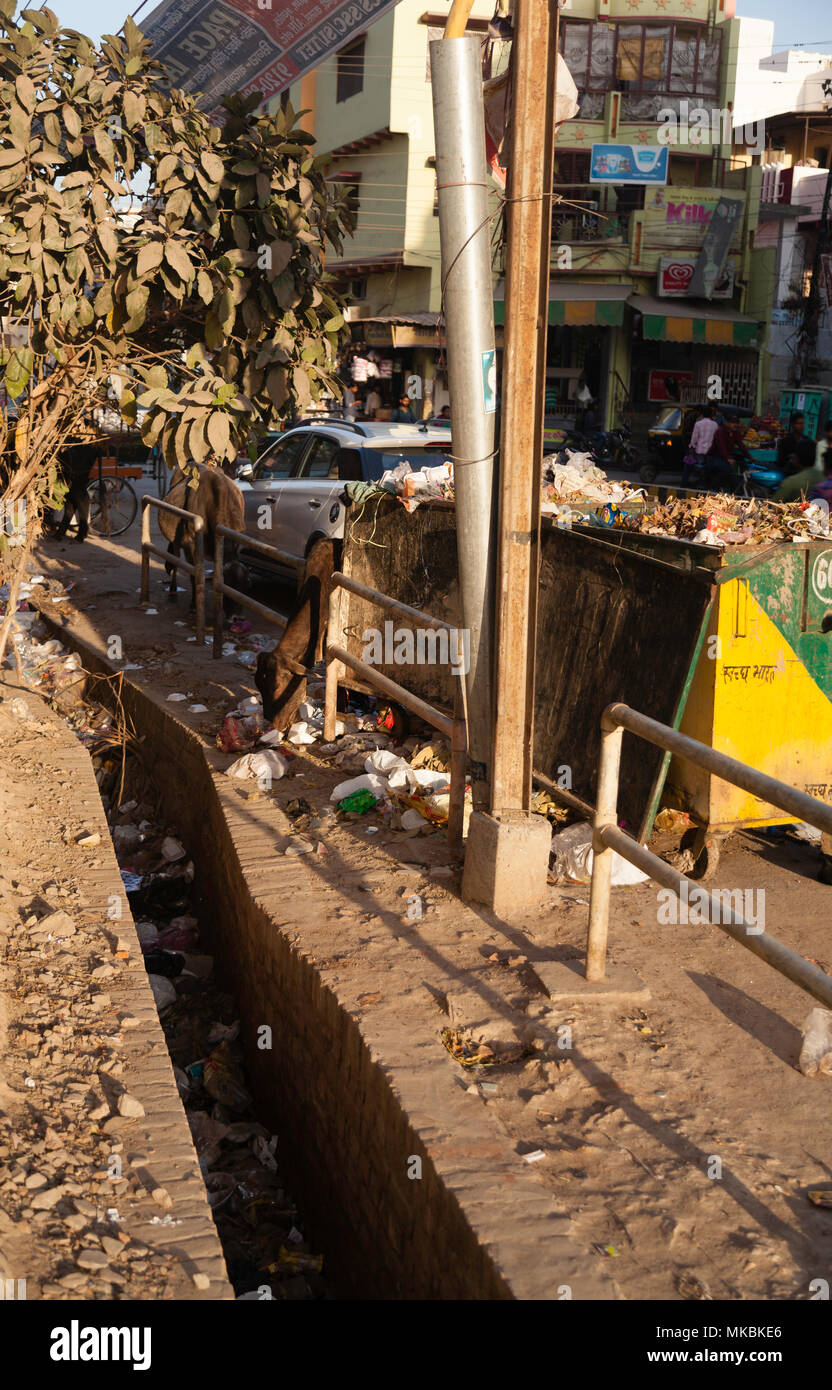 India waste disposal hi-res stock photography and images - Alamy
