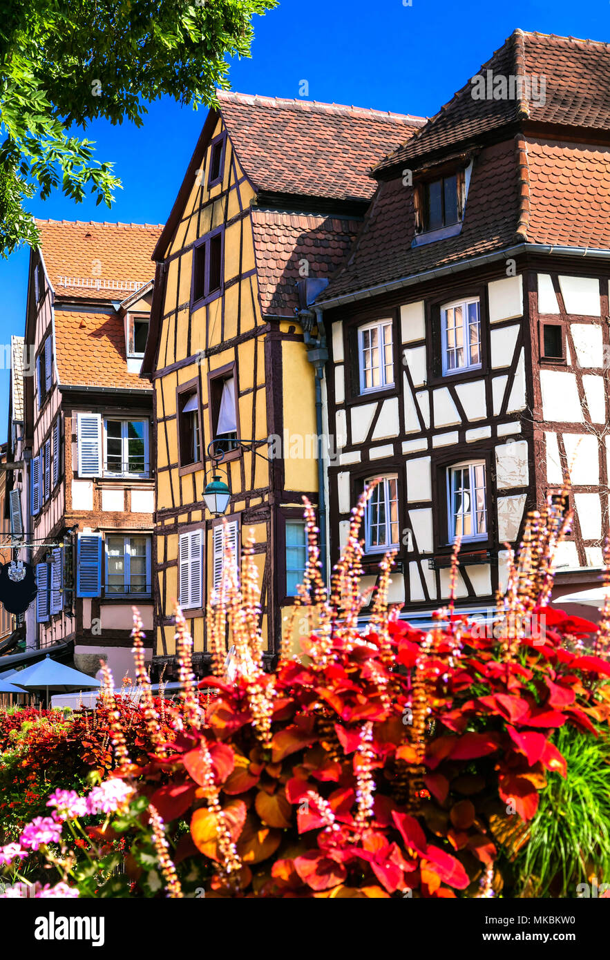 Colmar France Houses Flowers