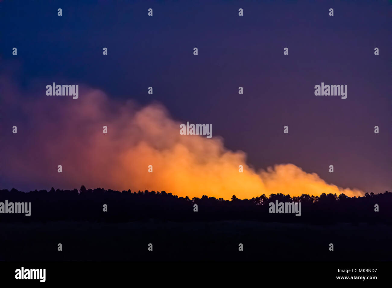 Forest fire crew hi-res stock photography and images - Alamy