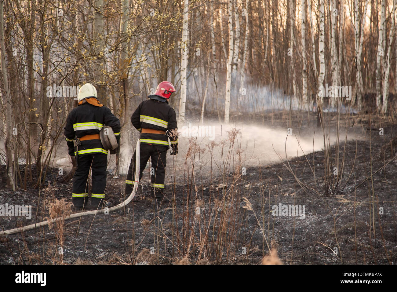 Rescuers extinguish forest fire Stock Photo - Alamy