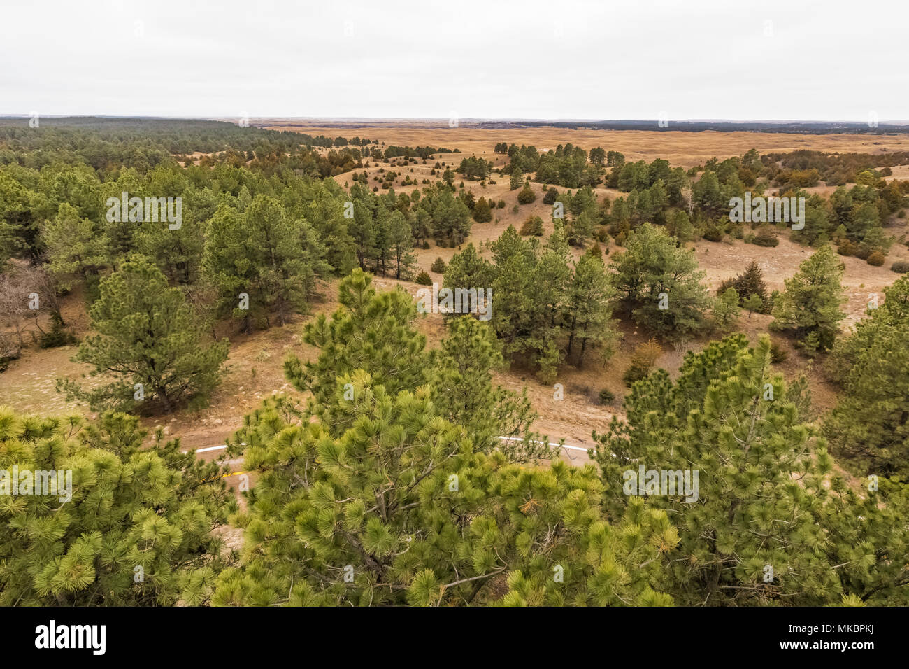 View of the forest and distant prairie from Scott Fire Lookout in ...