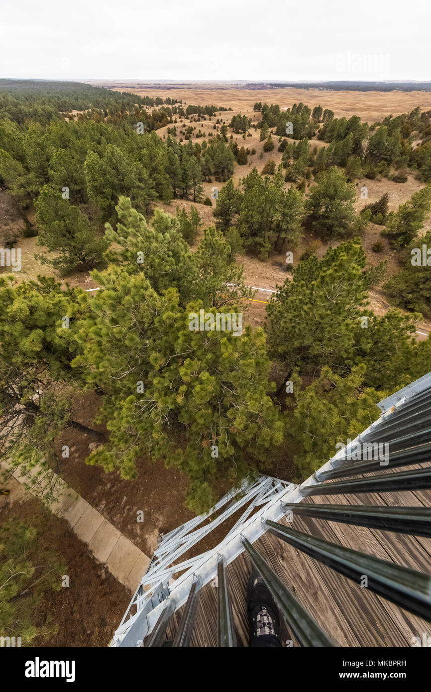 View of the forest and distant prairie from Scott Fire Lookout in ...