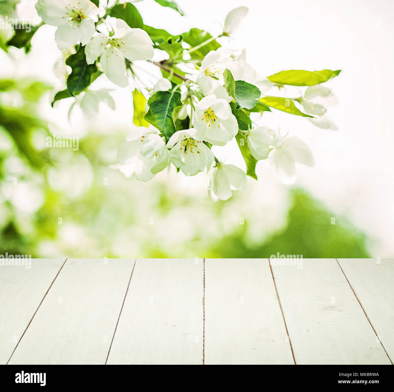Spring Background with Flowers, Green Leaves and White Empty Wooden ...