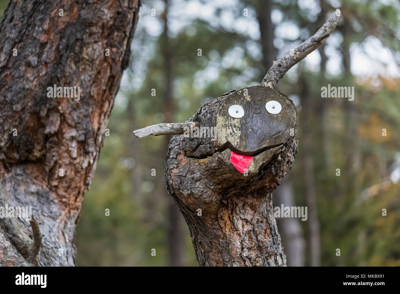 Grassland creature hi-res stock photography and images - Alamy
