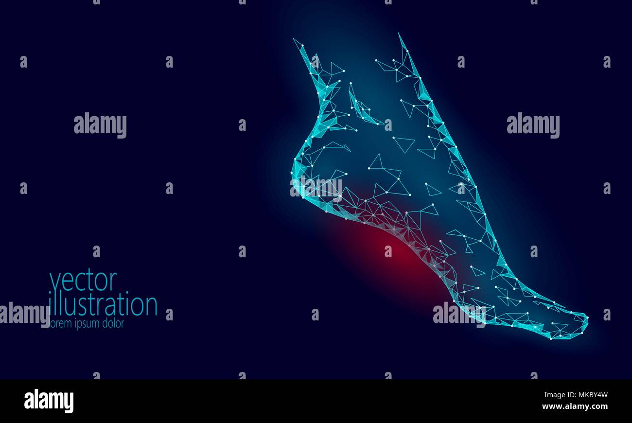 Human feet toe 3D low poly render. Polygonal blue medical healthcare ...