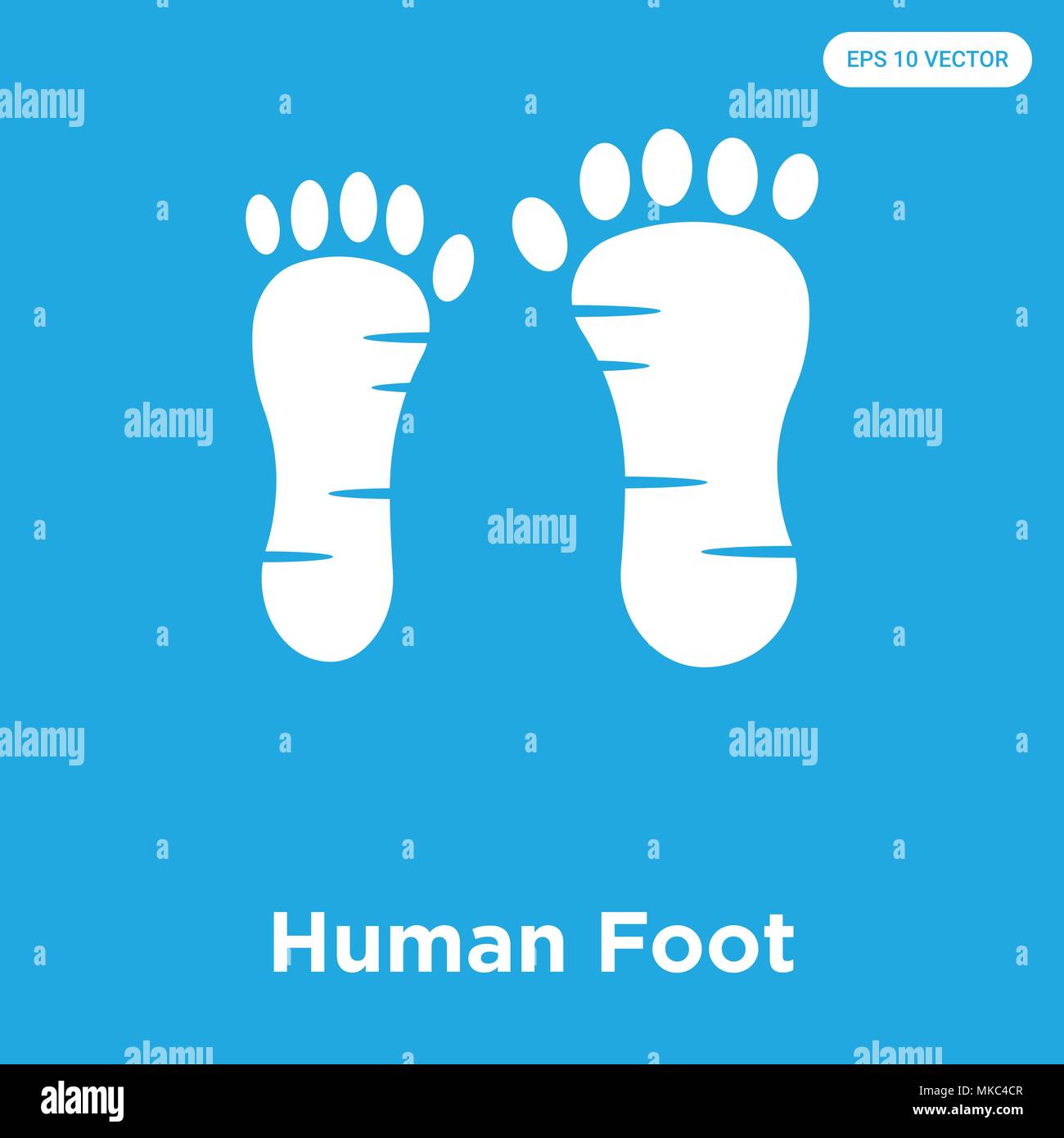 Human Foot vector icon isolated on blue background, sign and symbol ...