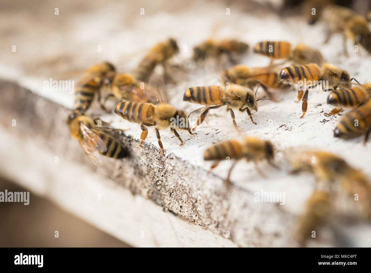 Keep boxes hi-res stock photography and images - Alamy