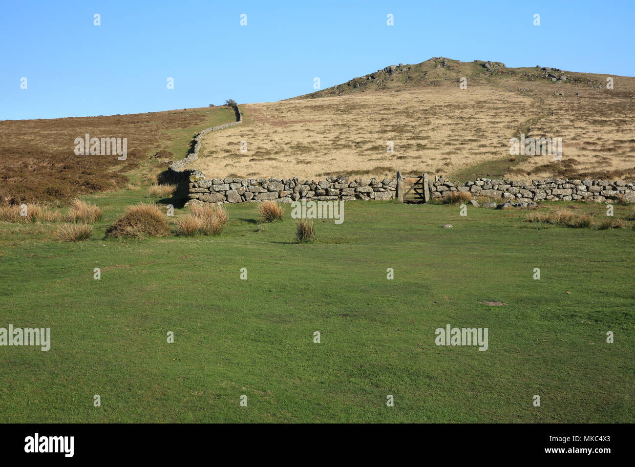 View towards Rippon tor, Dartmoor National park, Devon, England, UK ...