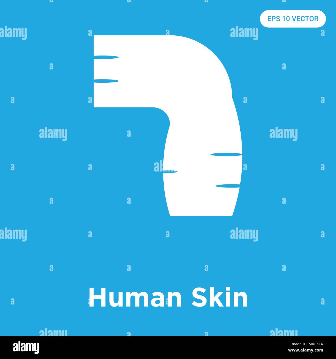 Human Skin vector icon isolated on blue background, sign and symbol ...