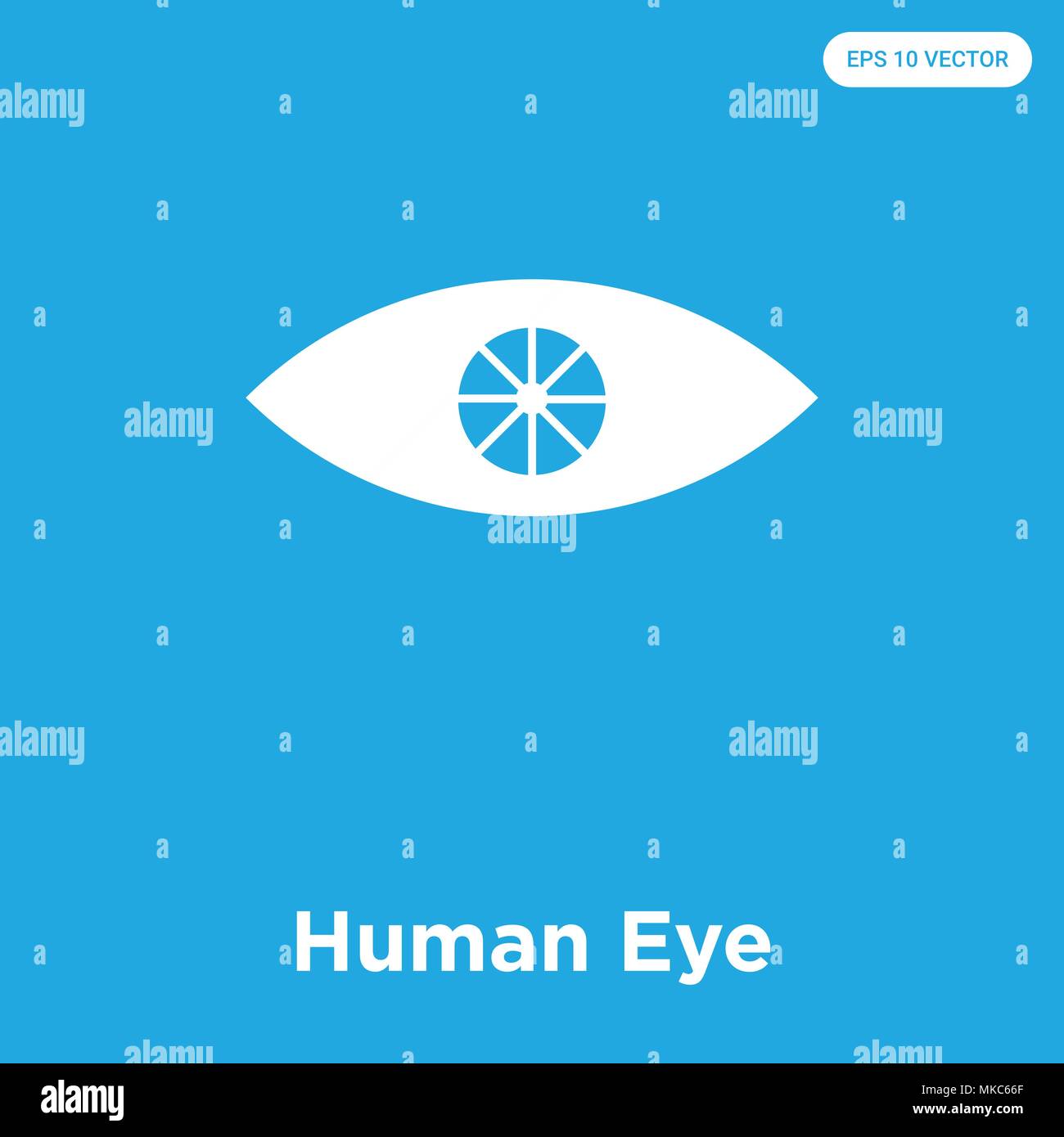 Human Eye vector icon isolated on blue background, sign and symbol ...