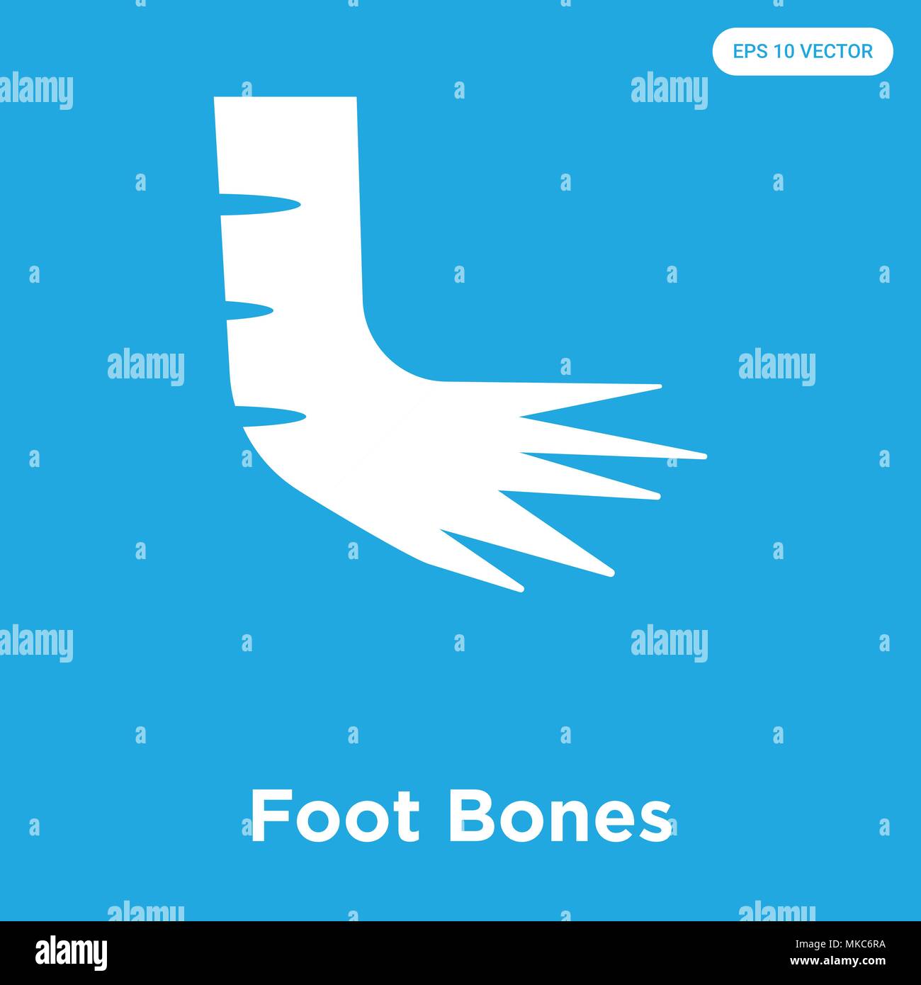 Foot Bones vector icon isolated on blue background, sign and symbol ...