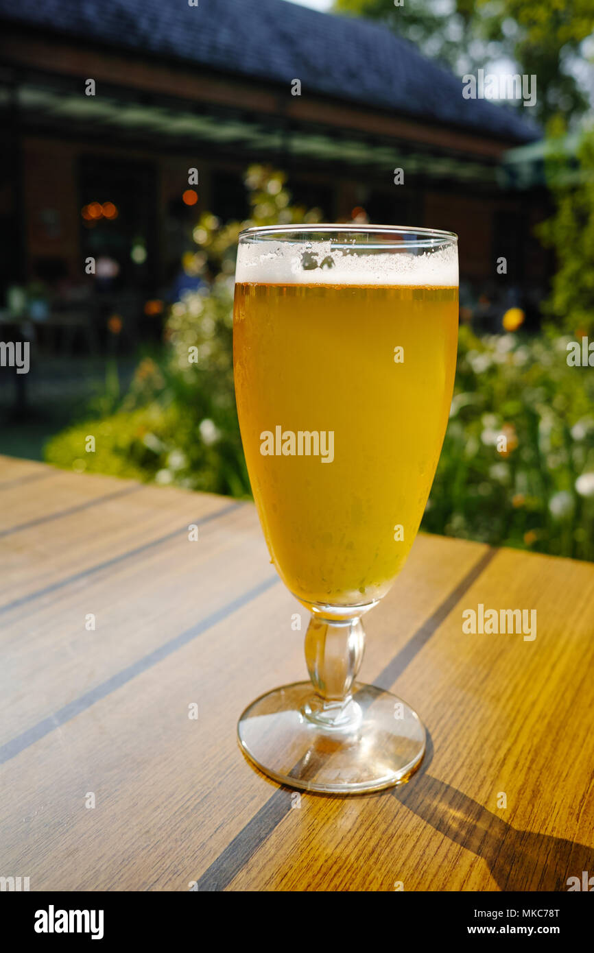 One cold light unfiltered beer in glass served on sunny outdoor terrace ...