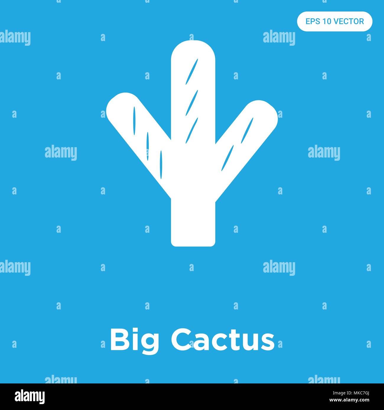 Big Cactus vector icon isolated on blue background, sign and symbol ...