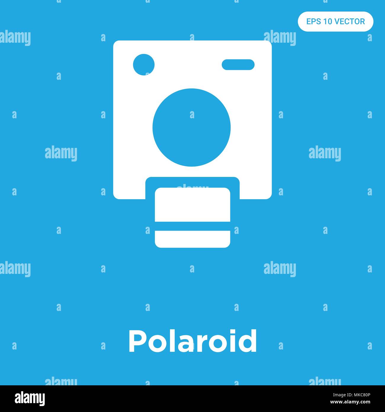 Polaroid vector icon isolated on blue background, sign and symbol Stock ...