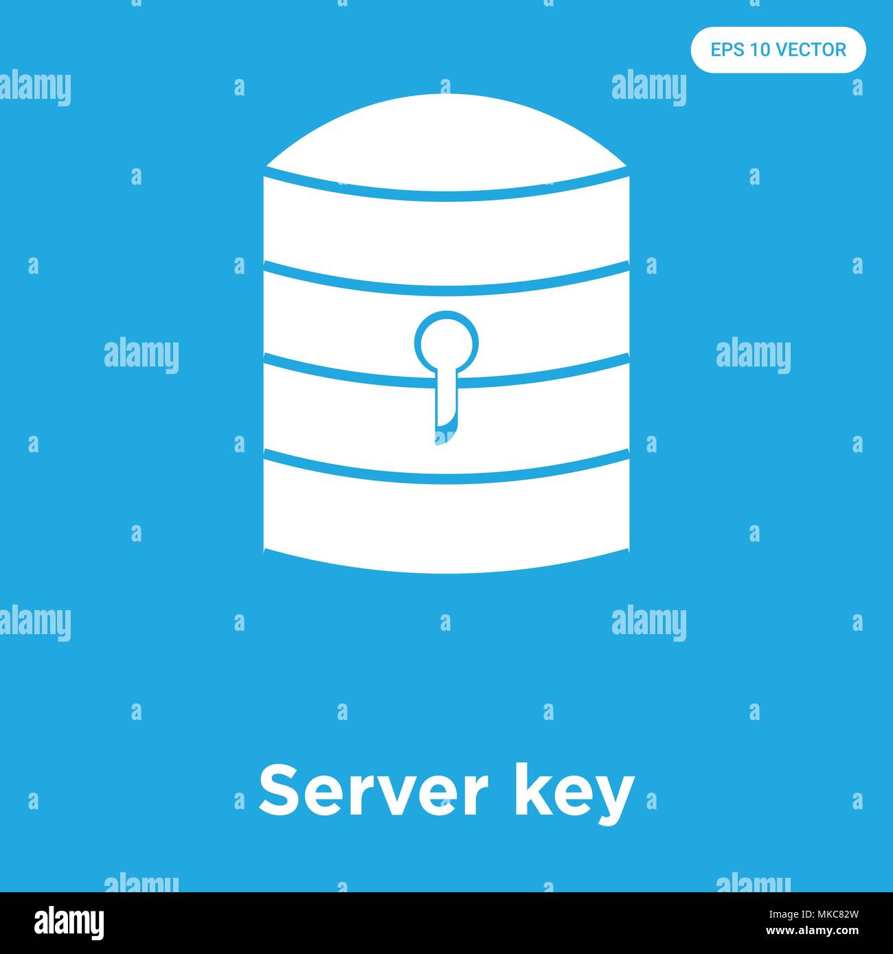 Server key vector icon isolated on blue background, sign and symbol Stock Vector Image & Art - Alamy