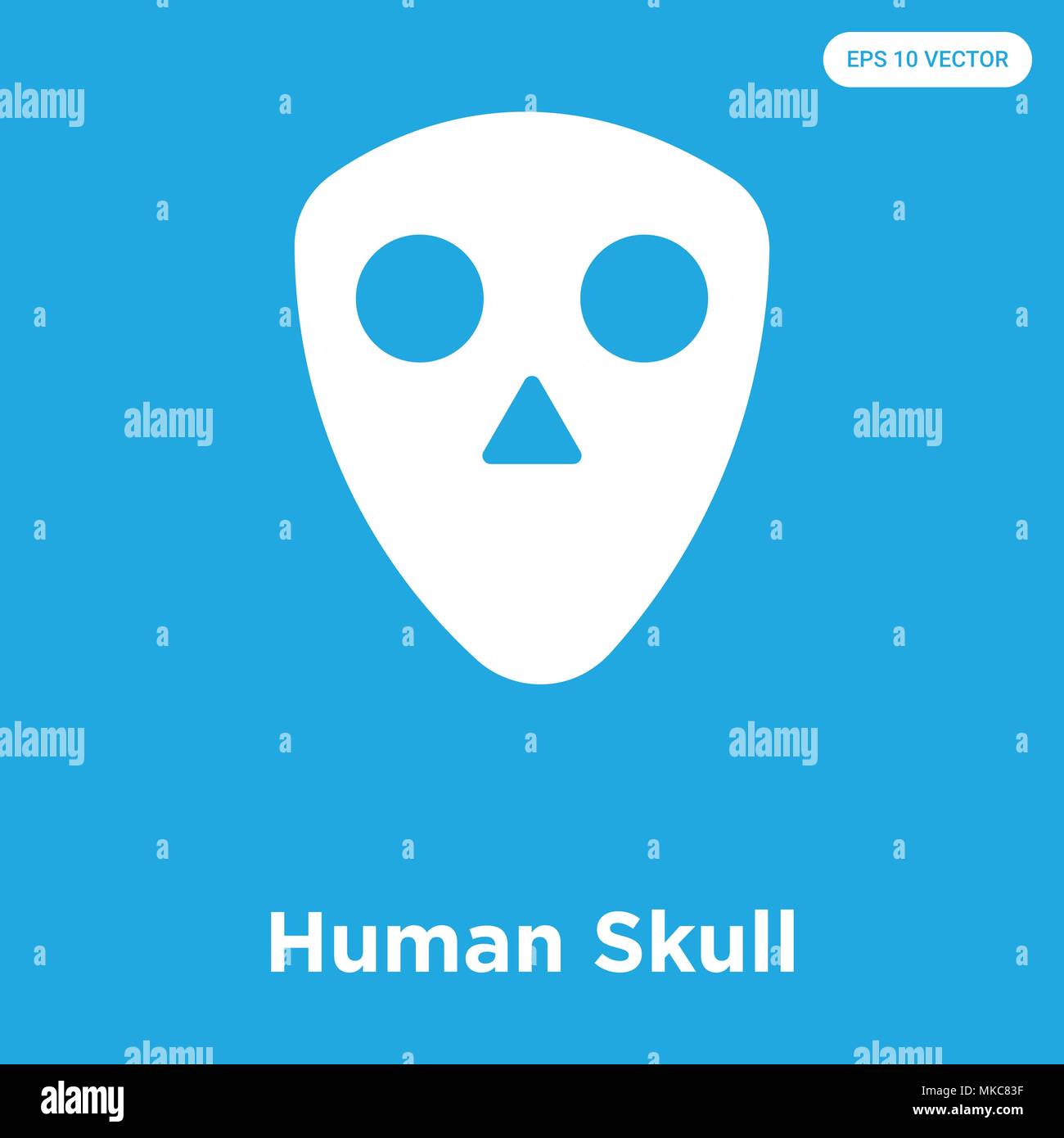 Human Skull vector icon isolated on blue background, sign and symbol ...