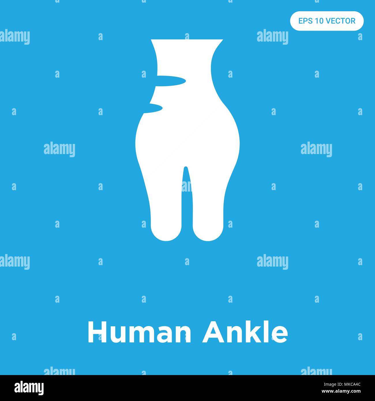 Human Ankle vector icon isolated on blue background, sign and symbol ...