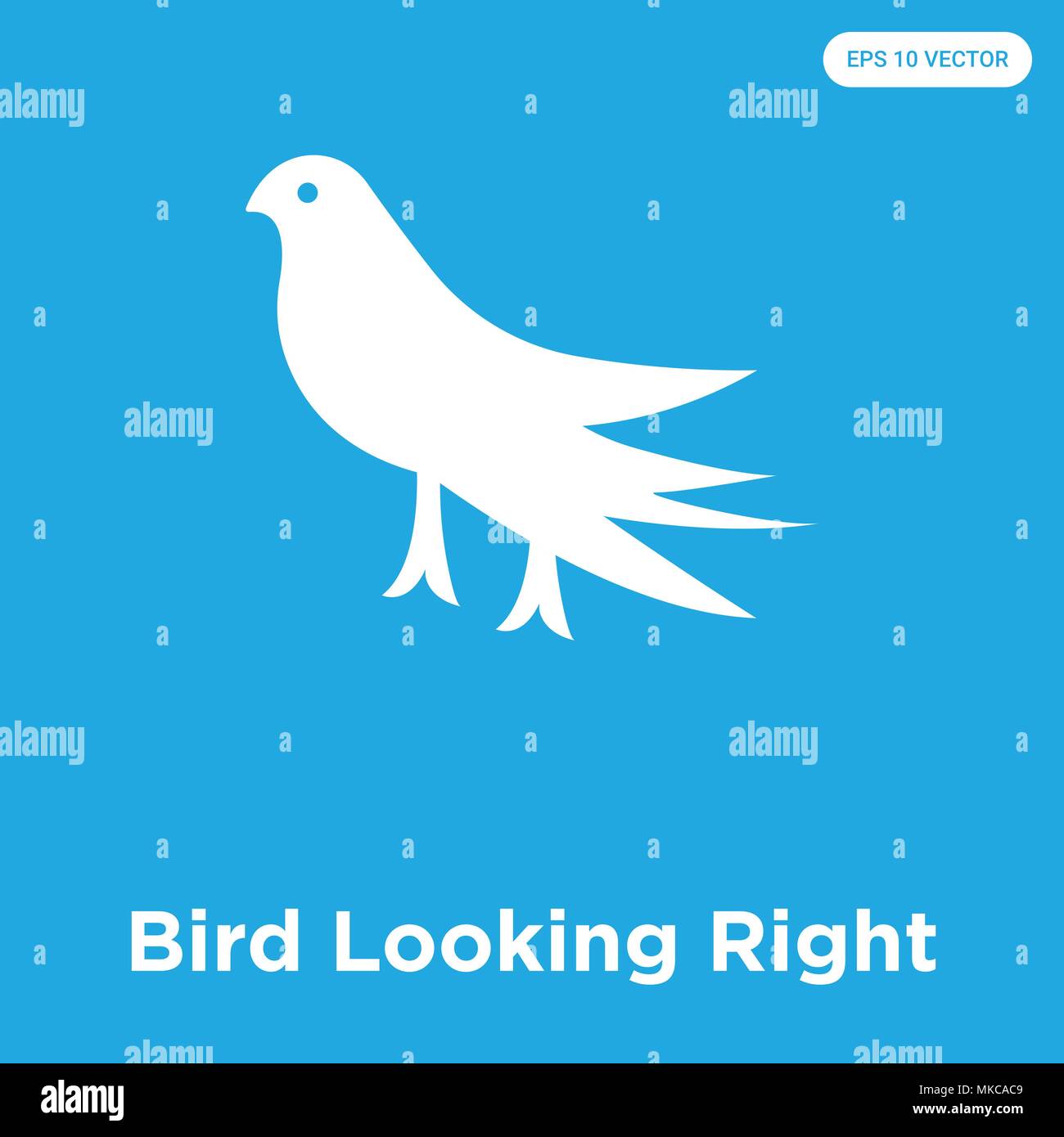 Bird Looking Right vector icon isolated on blue background, sign and ...