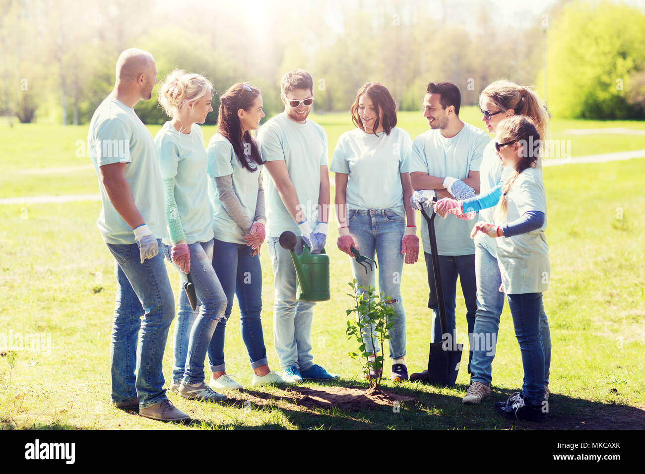 group of volunteers planting tree in park Stock Photo - Alamy
