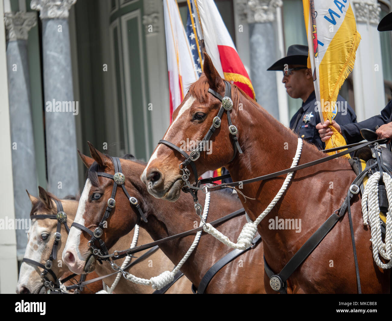 San francisco police department hi-res stock photography and images - Alamy