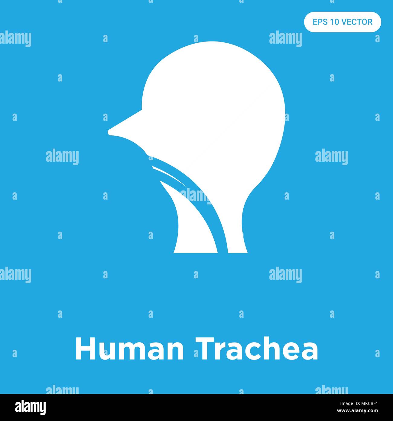 Human Trachea vector icon isolated on blue background, sign and symbol ...