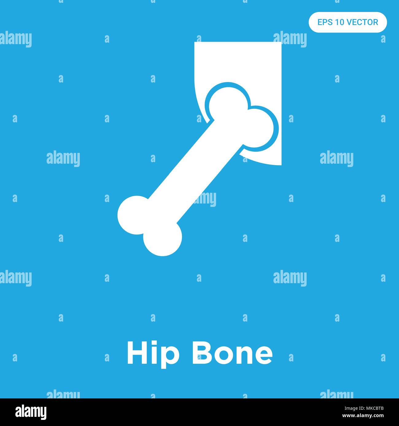 Hip Bone vector icon isolated on blue background, sign and symbol Stock ...