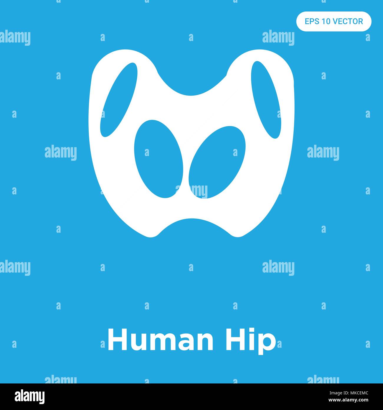 Human Hip vector icon isolated on blue background, sign and symbol ...