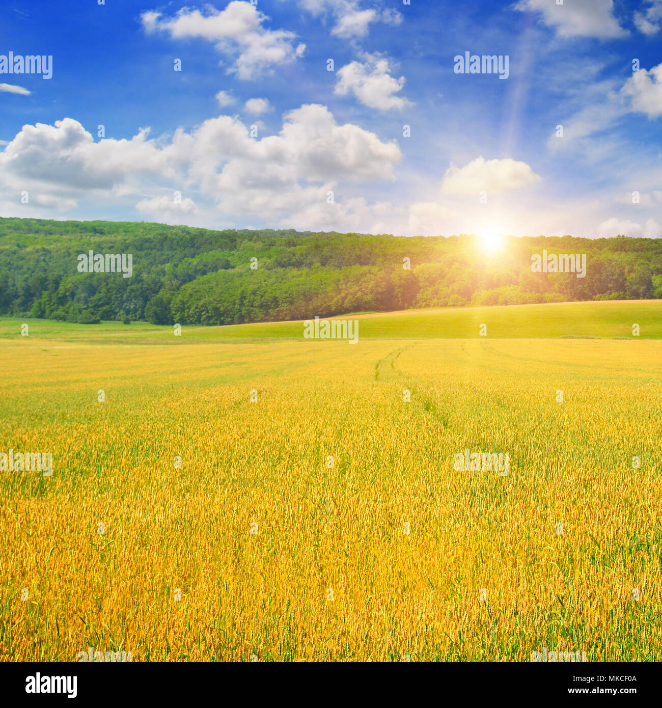 Corny sunset hi-res stock photography and images - Alamy