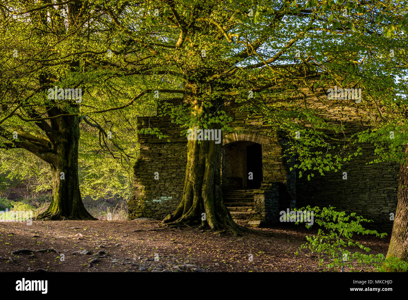 Wray castle hi-res stock photography and images - Alamy