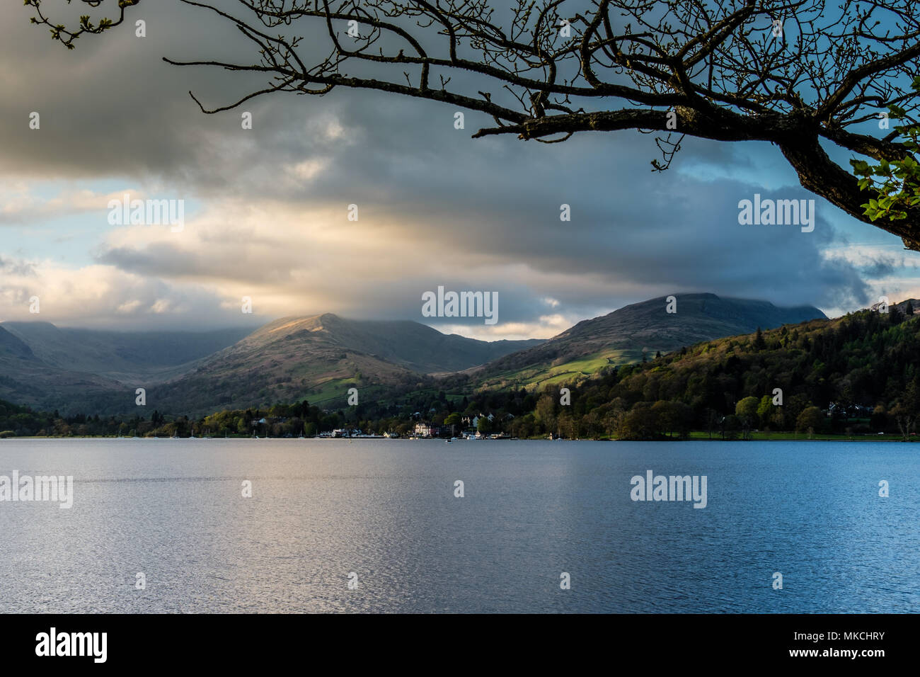Red Screes and Wansfell Pike seen across Windermere, from the Wray Castle estate, Ambleside ...
