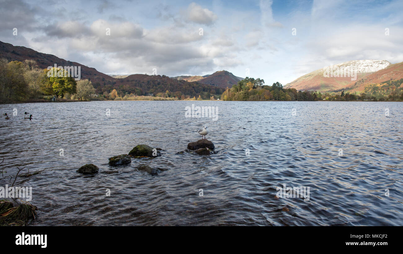Trees display autumn colours beside snow-capped mountains on Grasmere ...