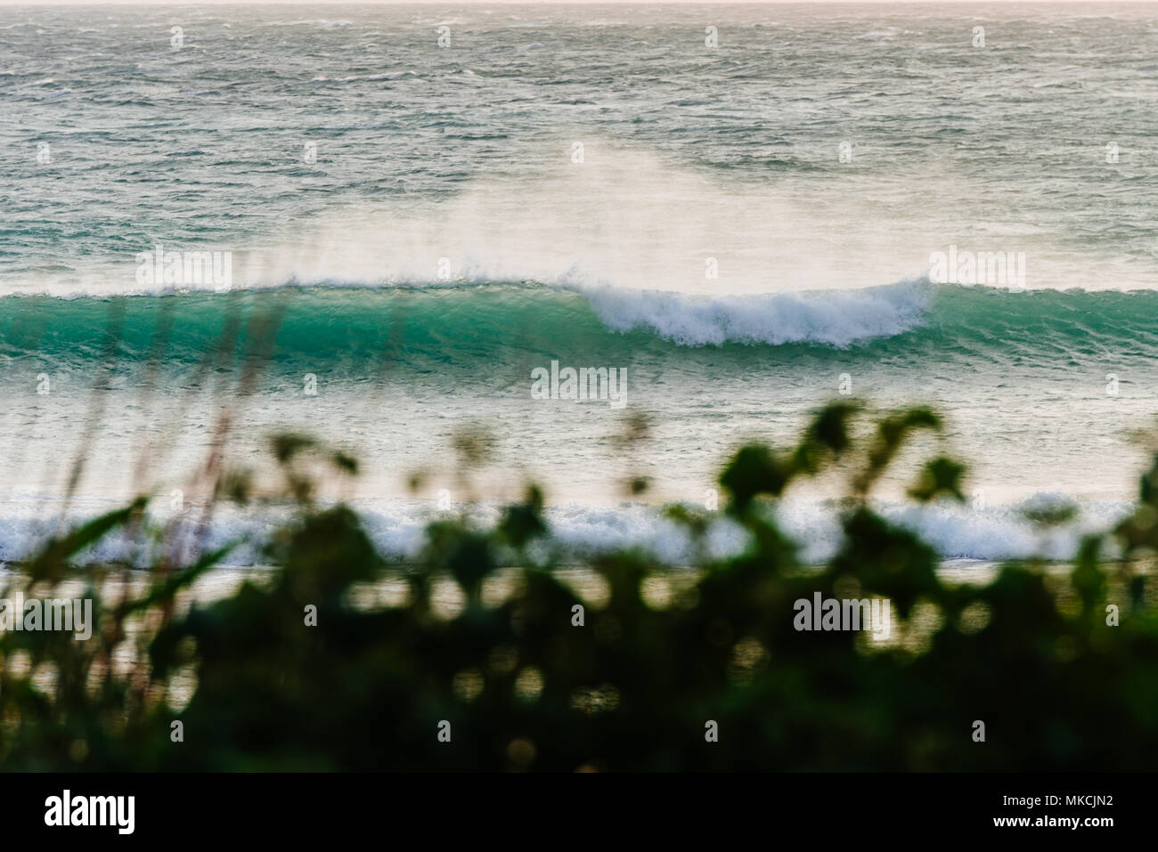 Perfect surf hi-res stock photography and images - Alamy