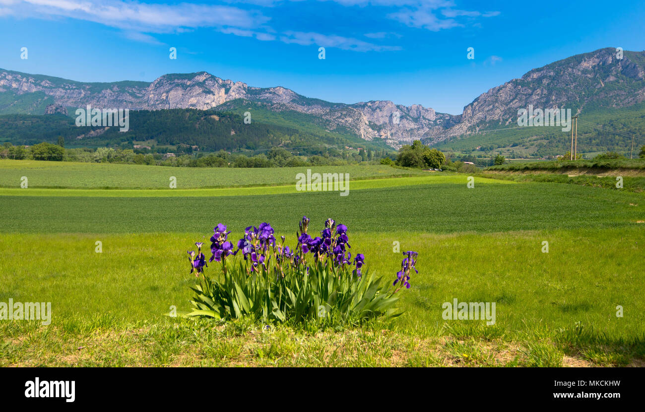 Foret de saou hi-res stock photography and images - Alamy